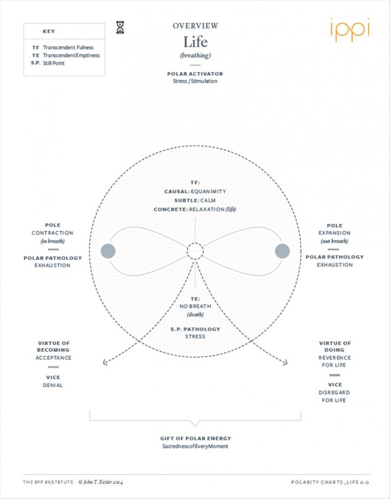 Salon: Integral Polarity Practice